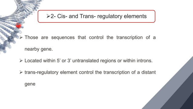 Non Coding Dna Pptx
