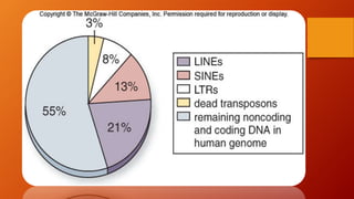 Non – coding dna presentation | PPTX