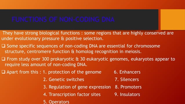 Non – coding dna presentation | PPTX | Genetics | Science