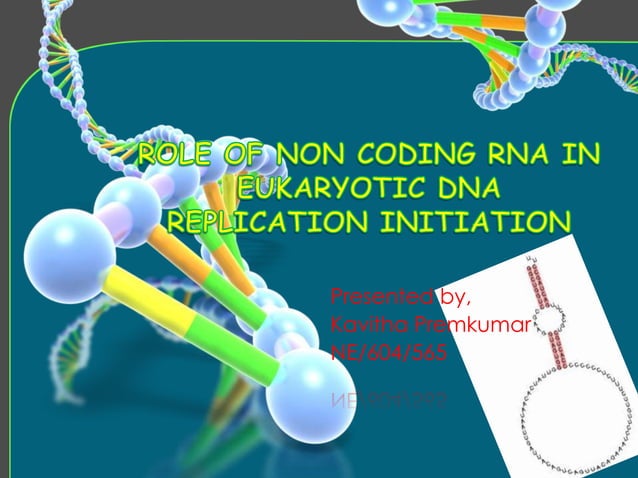 Non Coding RNAs in replication | PPTX | Genetics | Science
