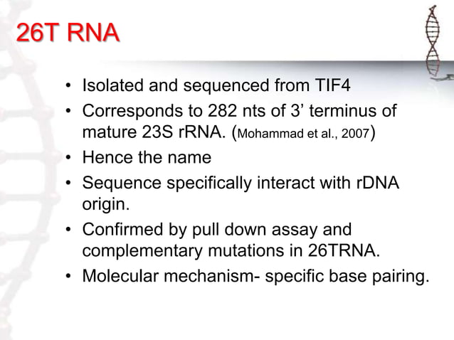 Non Coding RNAs in replication | PPT