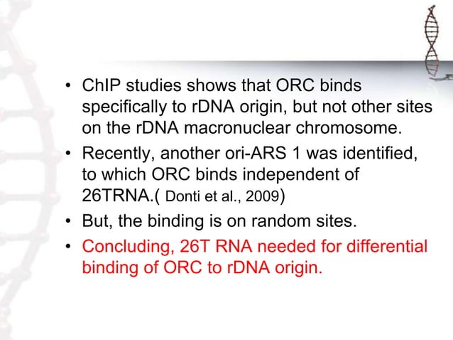 Non Coding RNAs in replication | PPTX | Genetics | Science