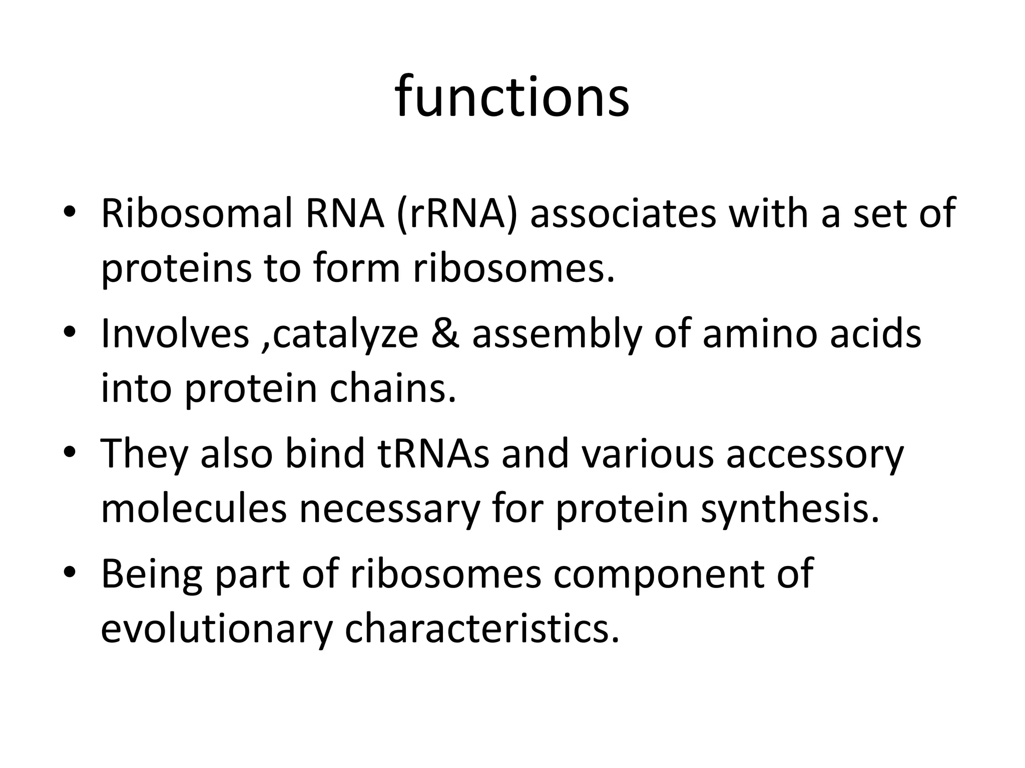 Non Coding Rna Ppt