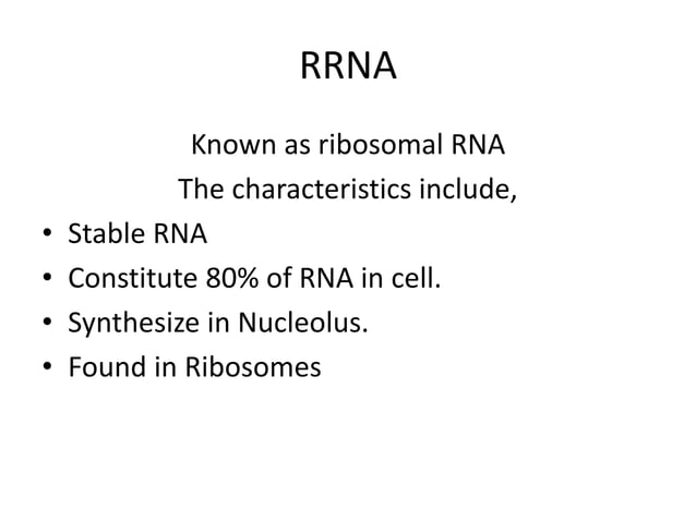 Non coding rna | PPTX | Programming Languages | Computing