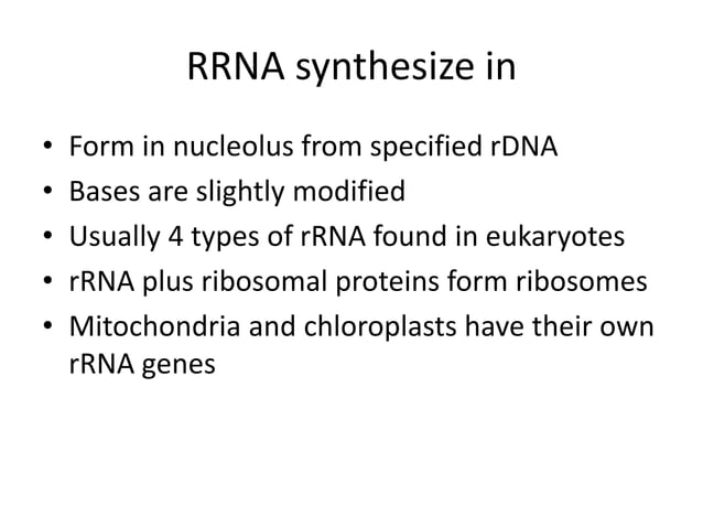 Non coding rna | PPTX | Programming Languages | Computing