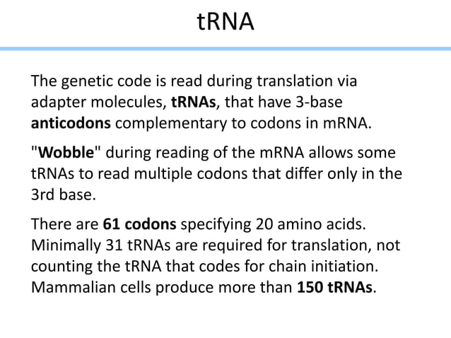 Non coding rna | PPTX | Programming Languages | Computing