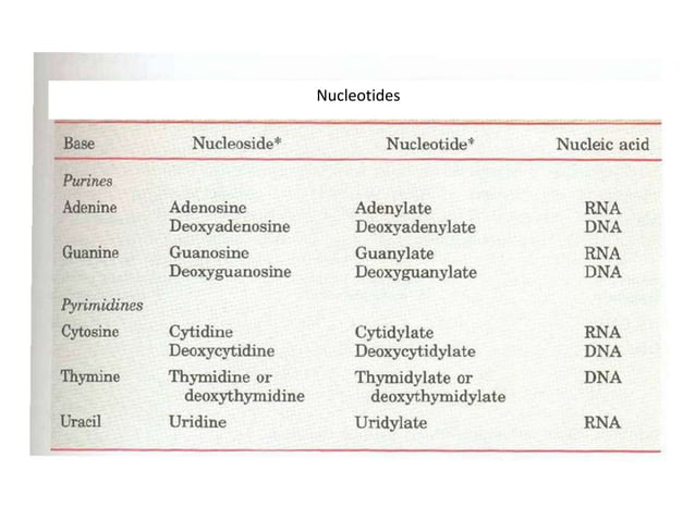 Non coding rna | PPTX | Programming Languages | Computing