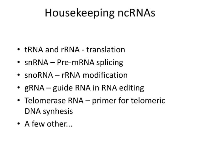 Non coding rna | PPTX | Programming Languages | Computing