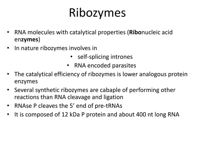 Non coding rna | PPTX | Programming Languages | Computing