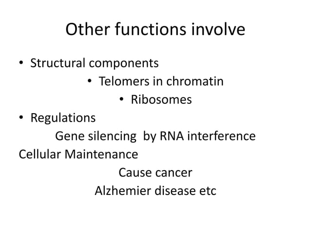 Non coding rna | PPTX | Programming Languages | Computing