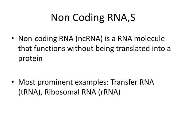 Non coding rna | PPTX | Programming Languages | Computing