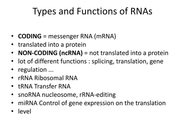 Non coding rna | PPTX | Programming Languages | Computing