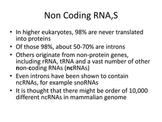 Non coding rna | PPT