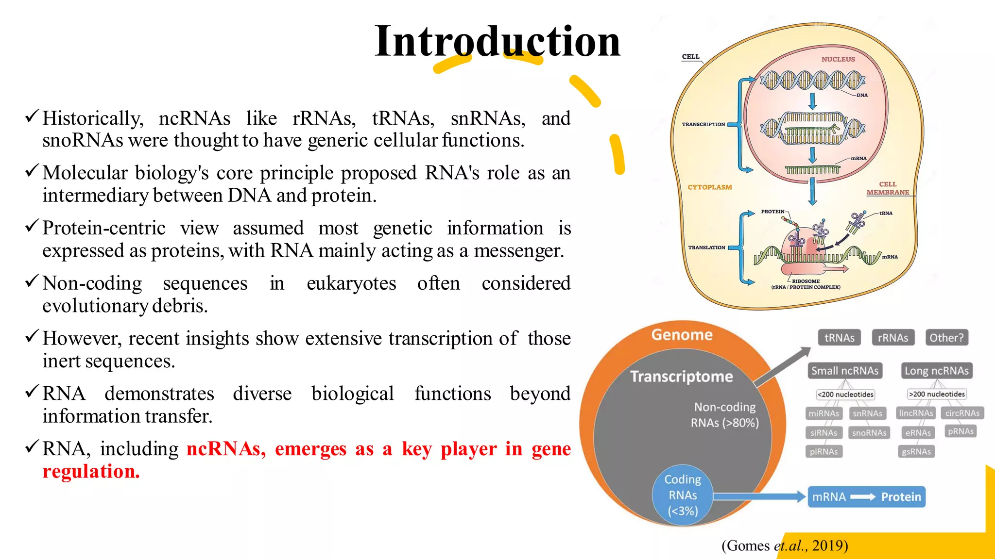 Non Coding RNA.pdf