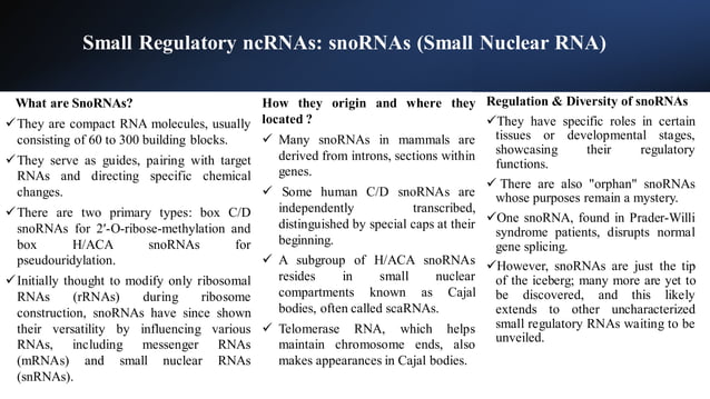 Non Coding RNA.pdf