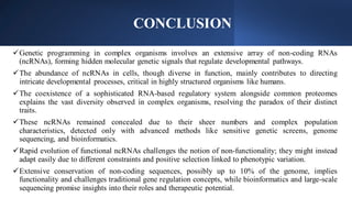 Non Coding RNA.pdf