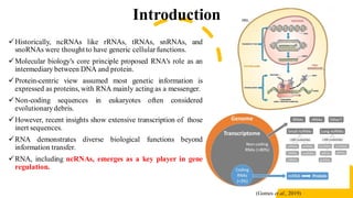Non Coding RNA.pdf