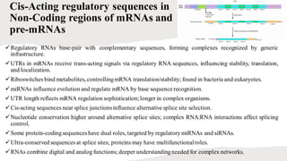 Non Coding RNA.pdf