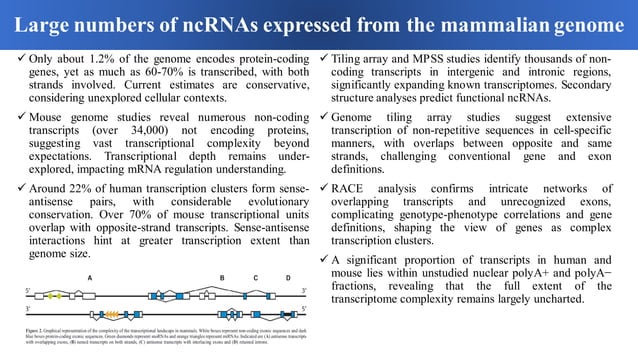 Non Coding RNA.pdf