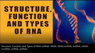 The structure and the function of different types of RNA | PPTX