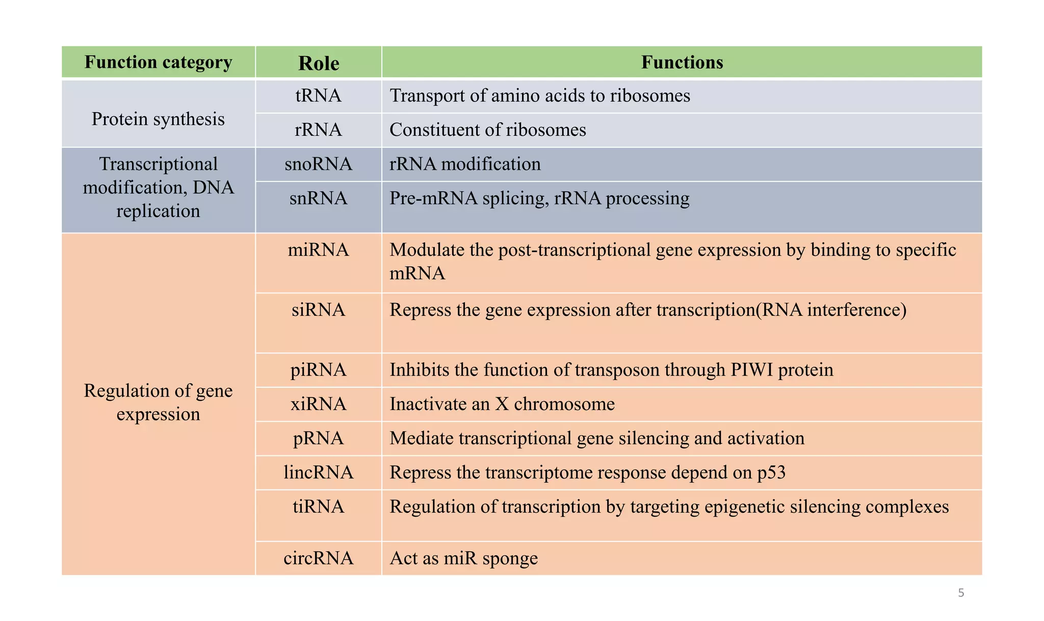 Non coding RNA as targets in drug discovery.pptx