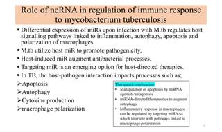 Non coding RNA as targets in drug discovery.pptx
