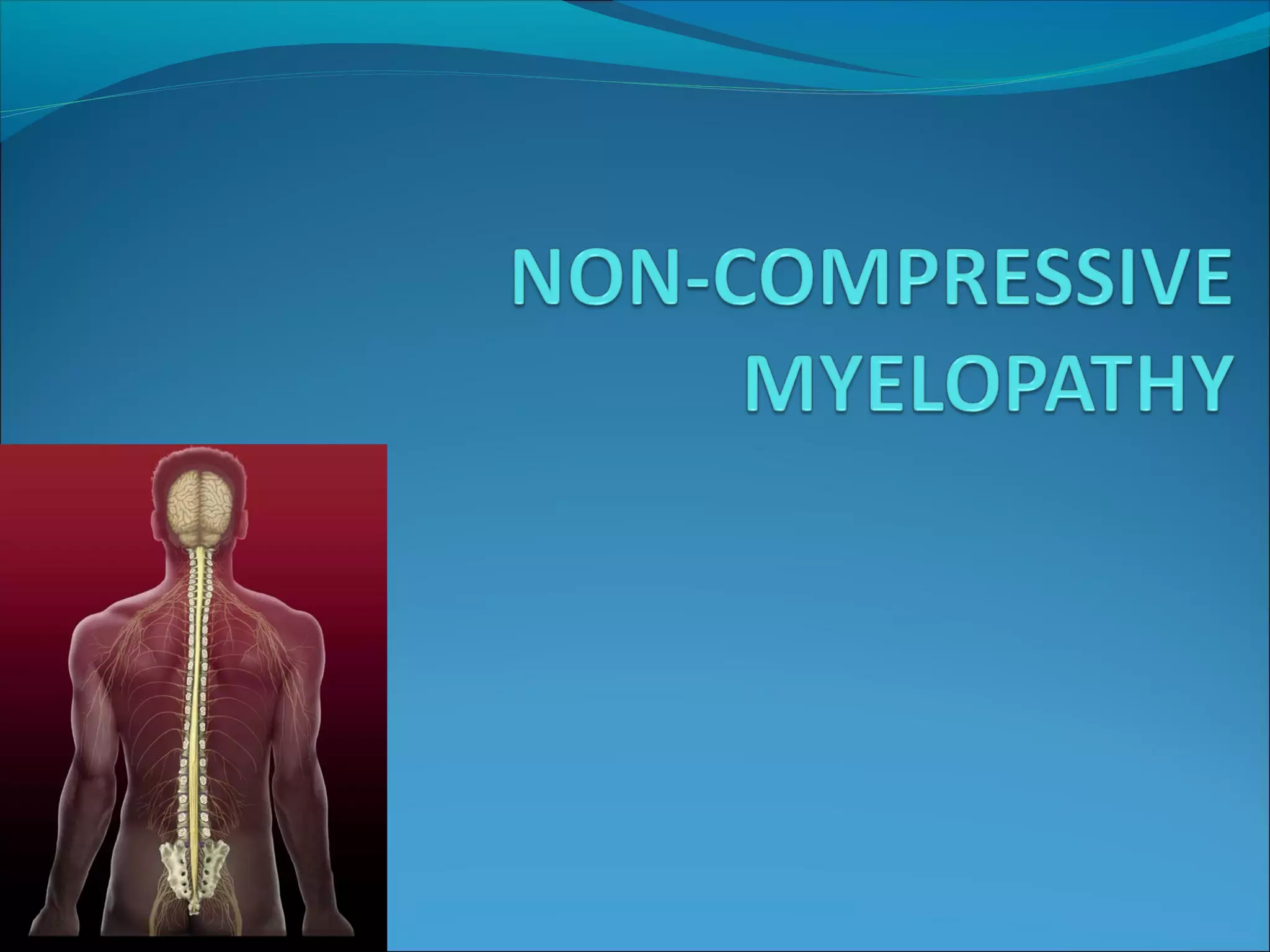 Noncompressive myelopathy | PPT