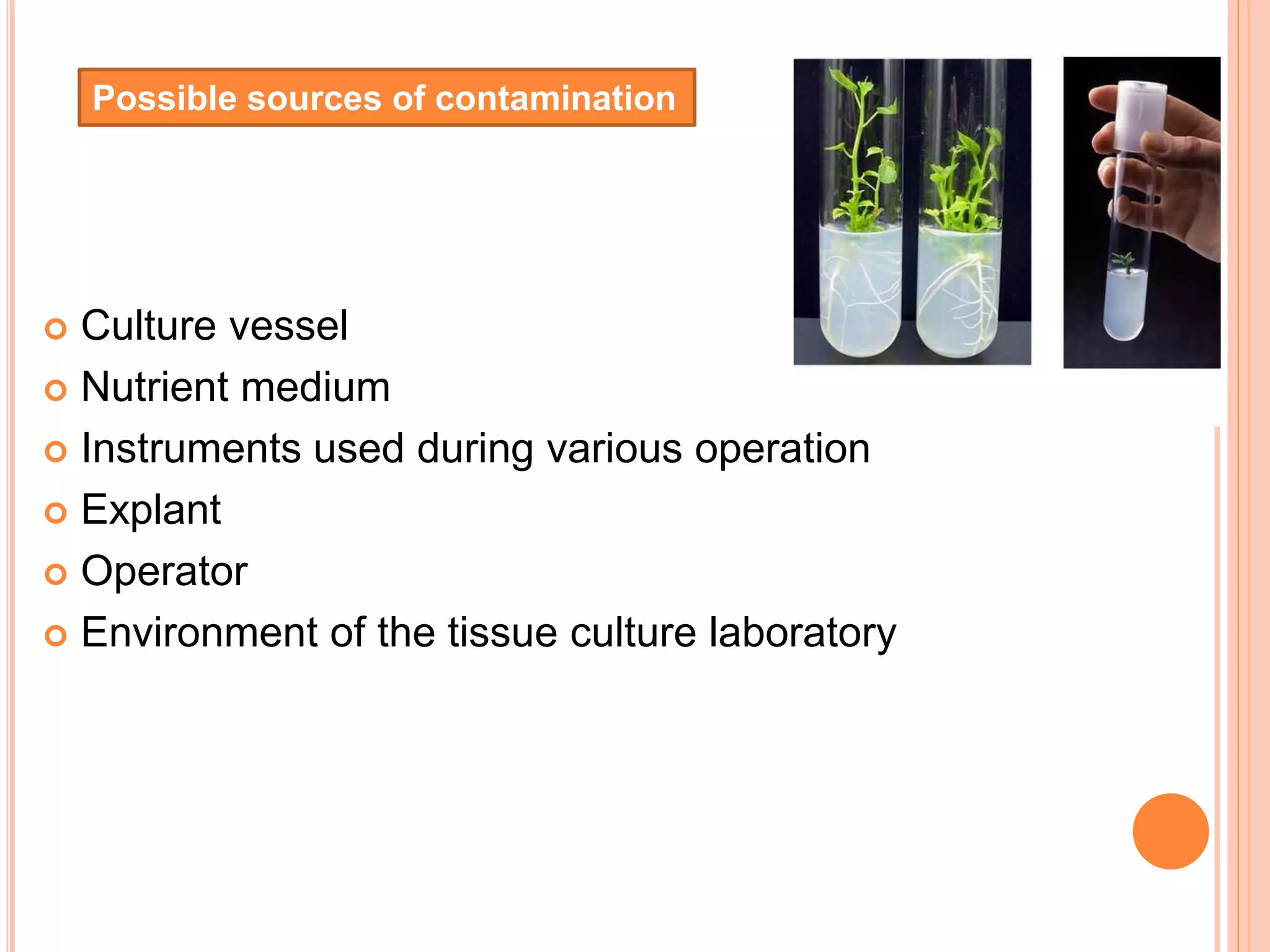 Preparation of plant tissue culture media,types and Sterilization | PPTX