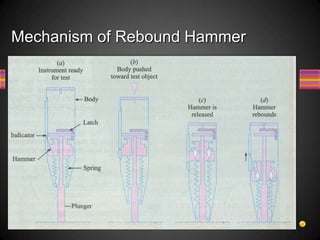 Non destructive test on concrete (ndt) | PPTX