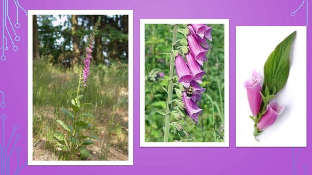 'Non detail drug'.pptx