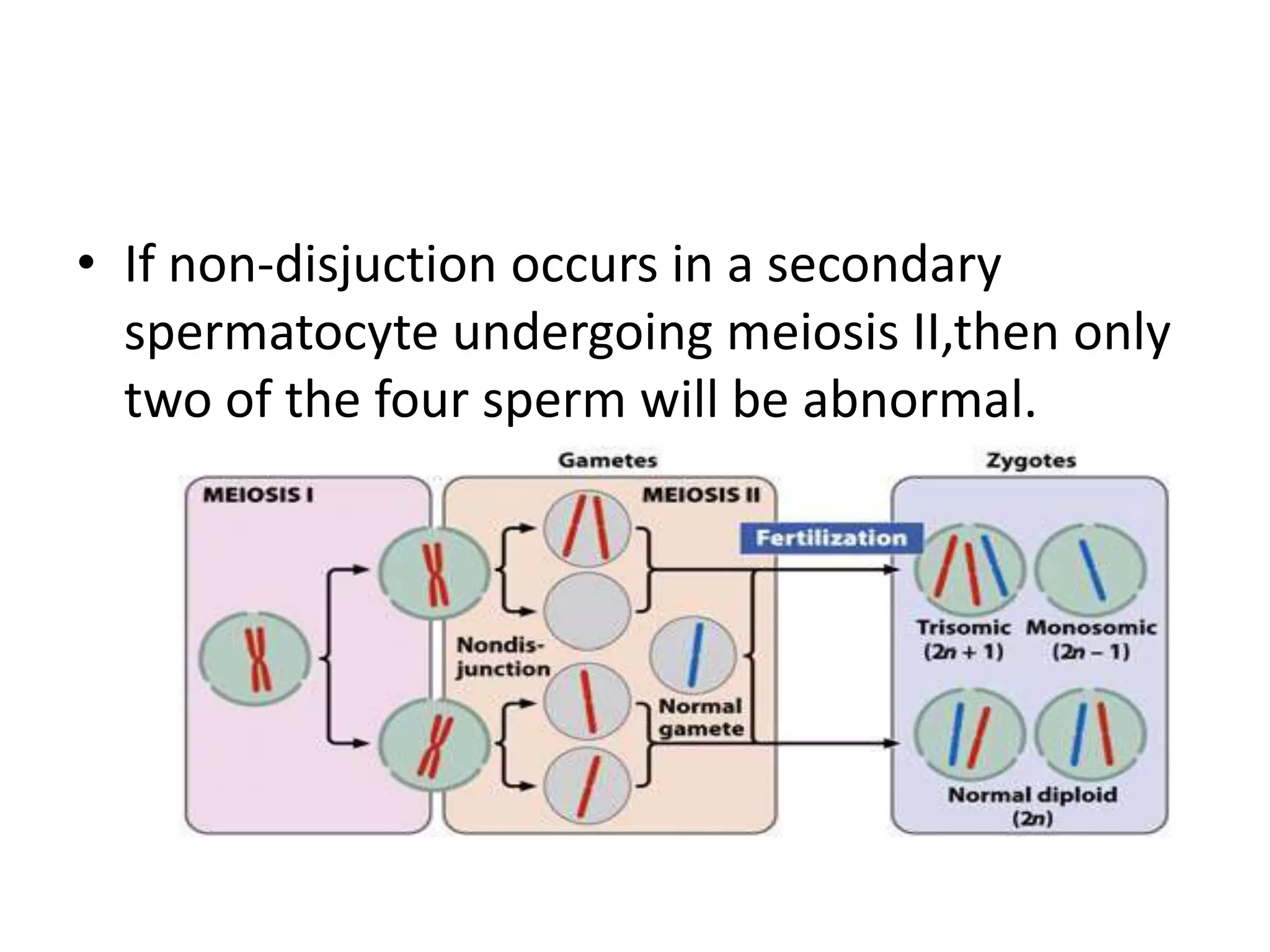Nondisjunction and its implications ppt | PPTX