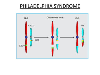 Nondisjunction and its implications ppt | PPTX
