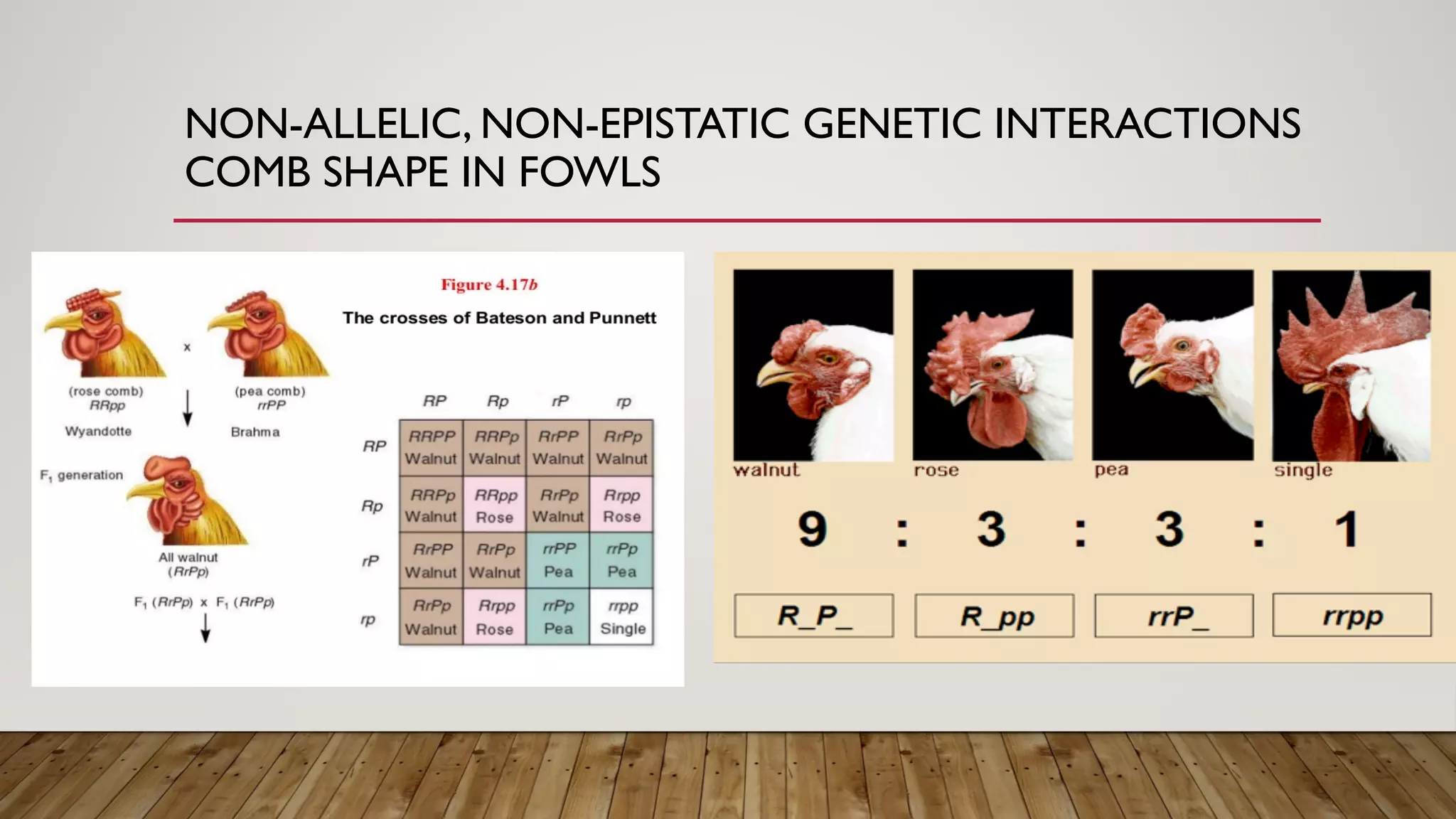 Plant Cytogenetics: Nonepistatic genetic interaction comb shape in ...