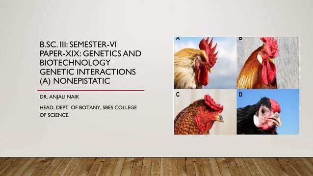 Plant Cytogenetics: Nonepistatic genetic interaction comb shape in ...