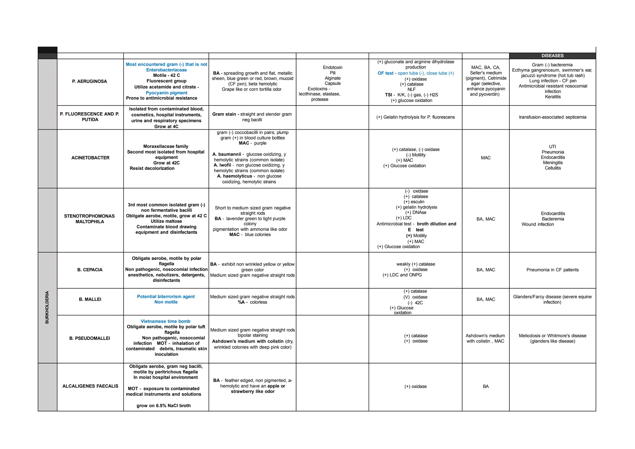 NON FERMENTATIVE GRAM NEGATIVE BACILLI MICROBIOLOGY | PPTX