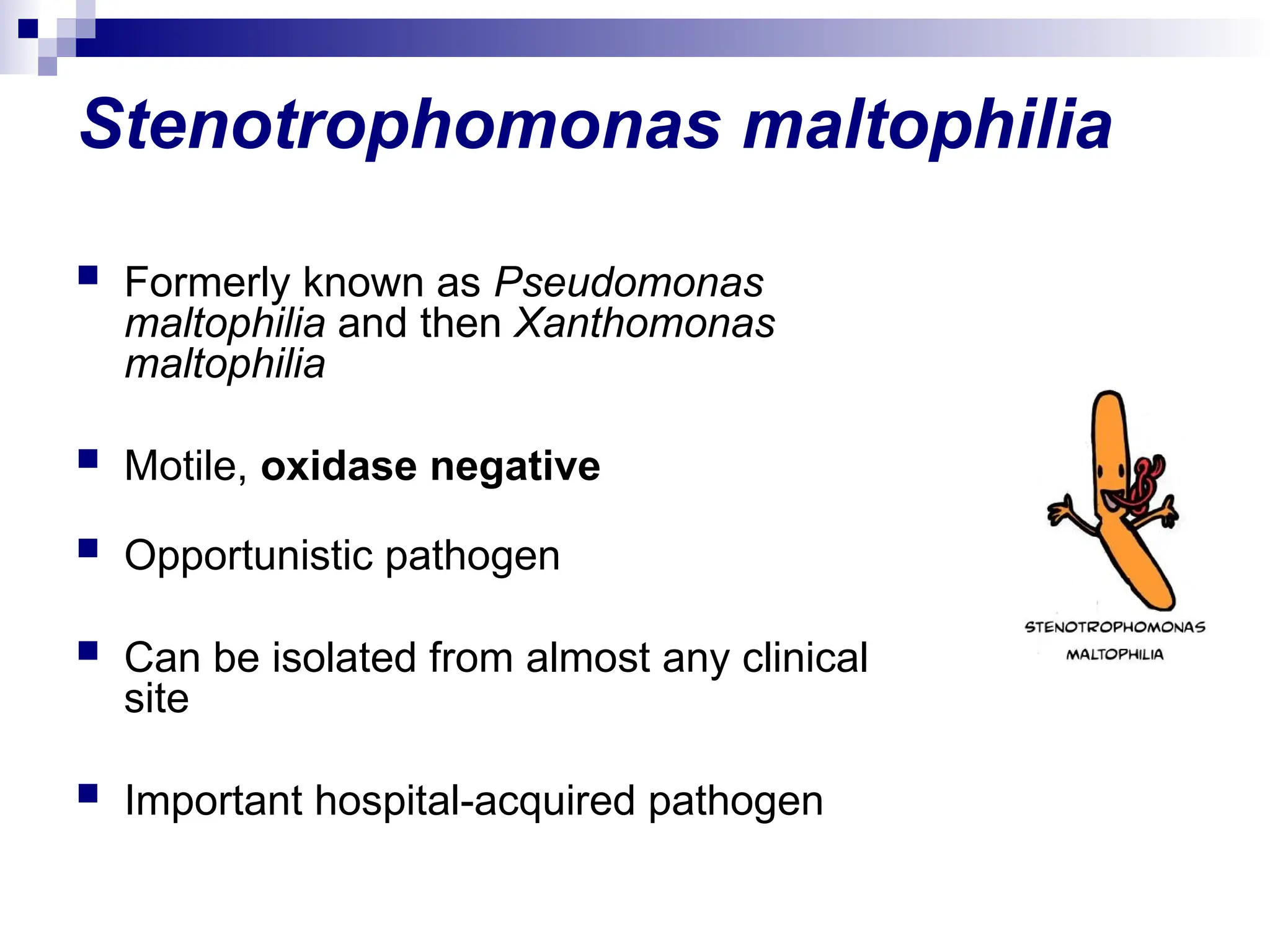 non fermentative gram negative bacteria.ppt