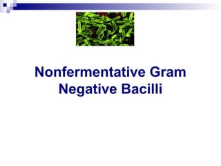 non fermentative gram negative bacteria.ppt