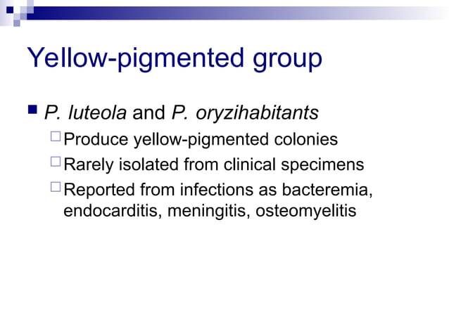 non fermentative gram negative bacteria.ppt
