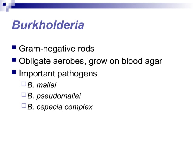non fermentative gram negative bacteria.ppt