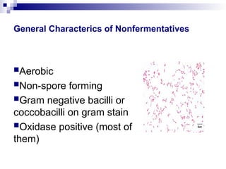 non fermentative gram negative bacteria.ppt