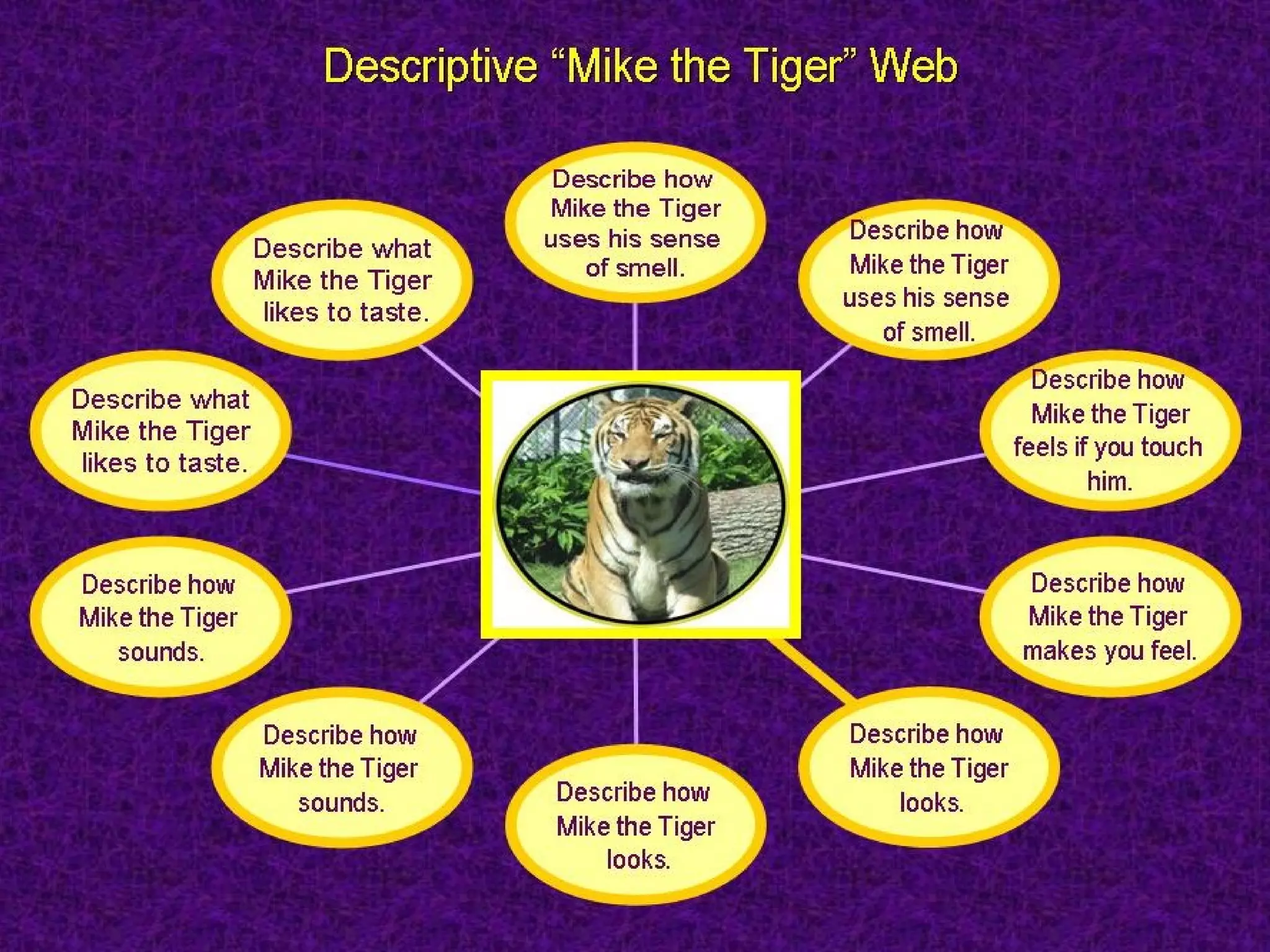 Nonfiction text-structures-introduction-powerpoint-nonfiction | PPT