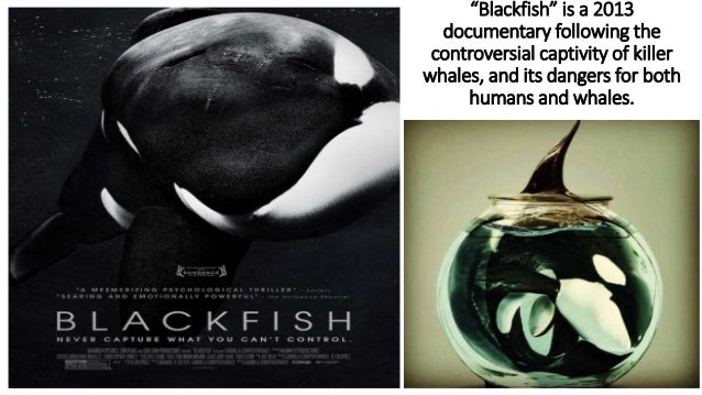 "Blackfish" National 4/5 Media Documentaries Unit
