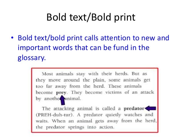 Examples Of Text In Bold Words