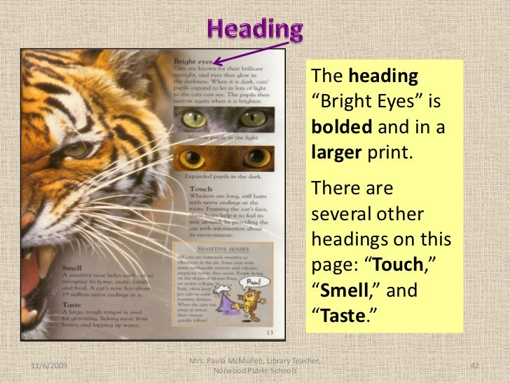 Nonfiction Features Gr 4-5