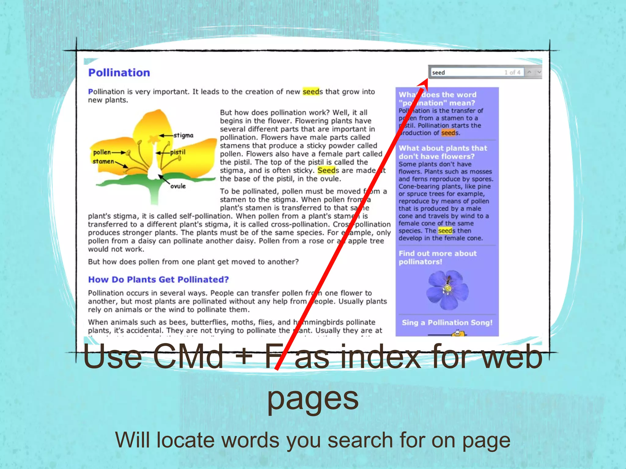 Non Fiction Text Features | PPT | Technology & Computing