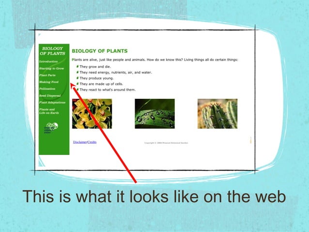 Non Fiction Text Features | PPT | Technology & Computing