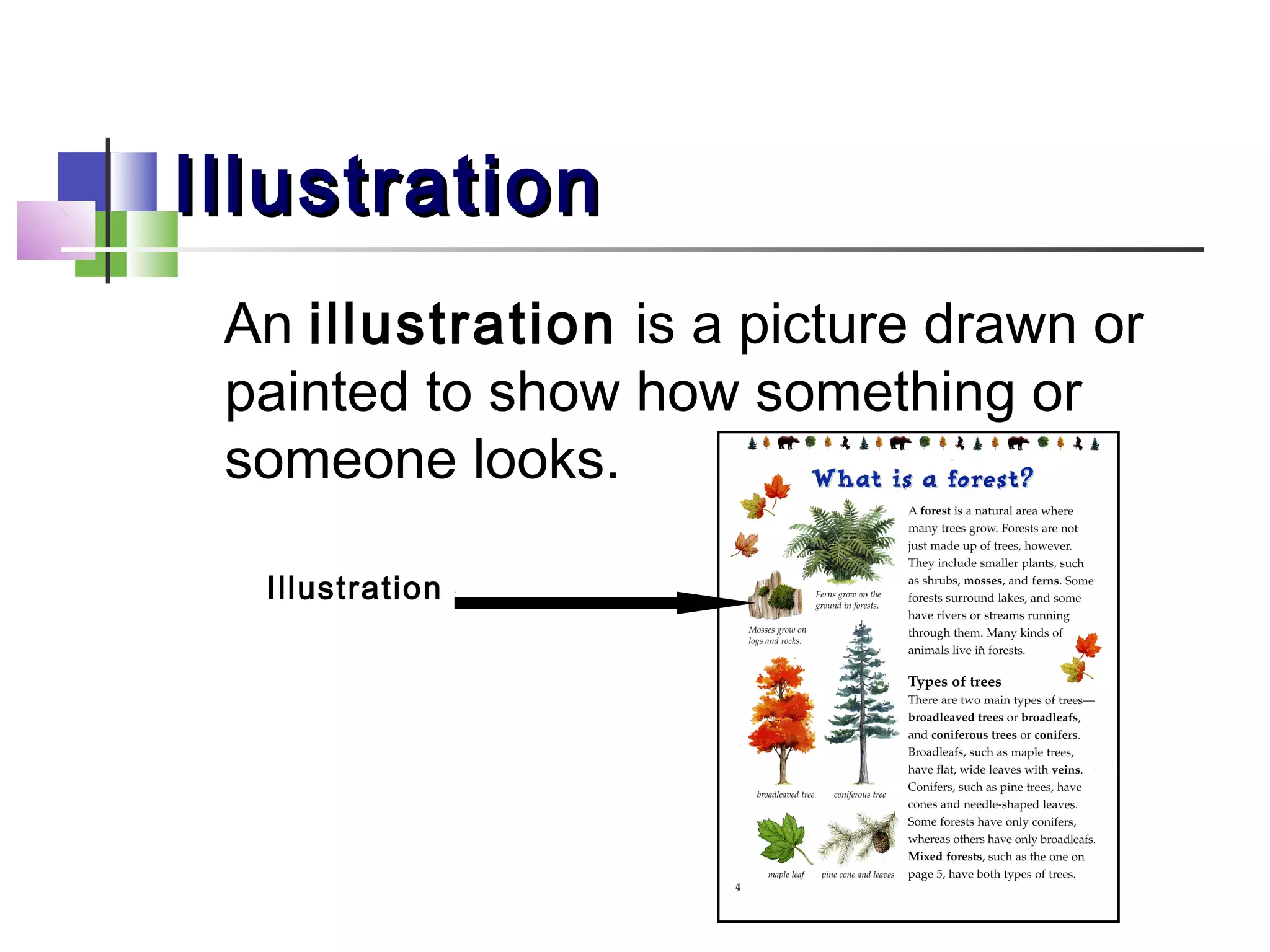 Nonfiction text features | PPT