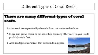 Coral Reefs | PPTX
