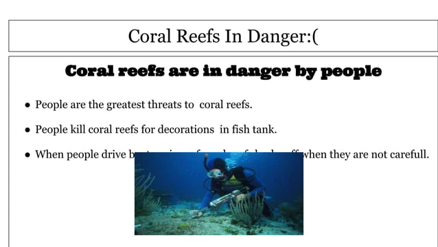 Coral Reefs | PPTX