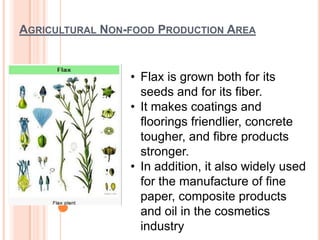 Non food products from plants | PPTX